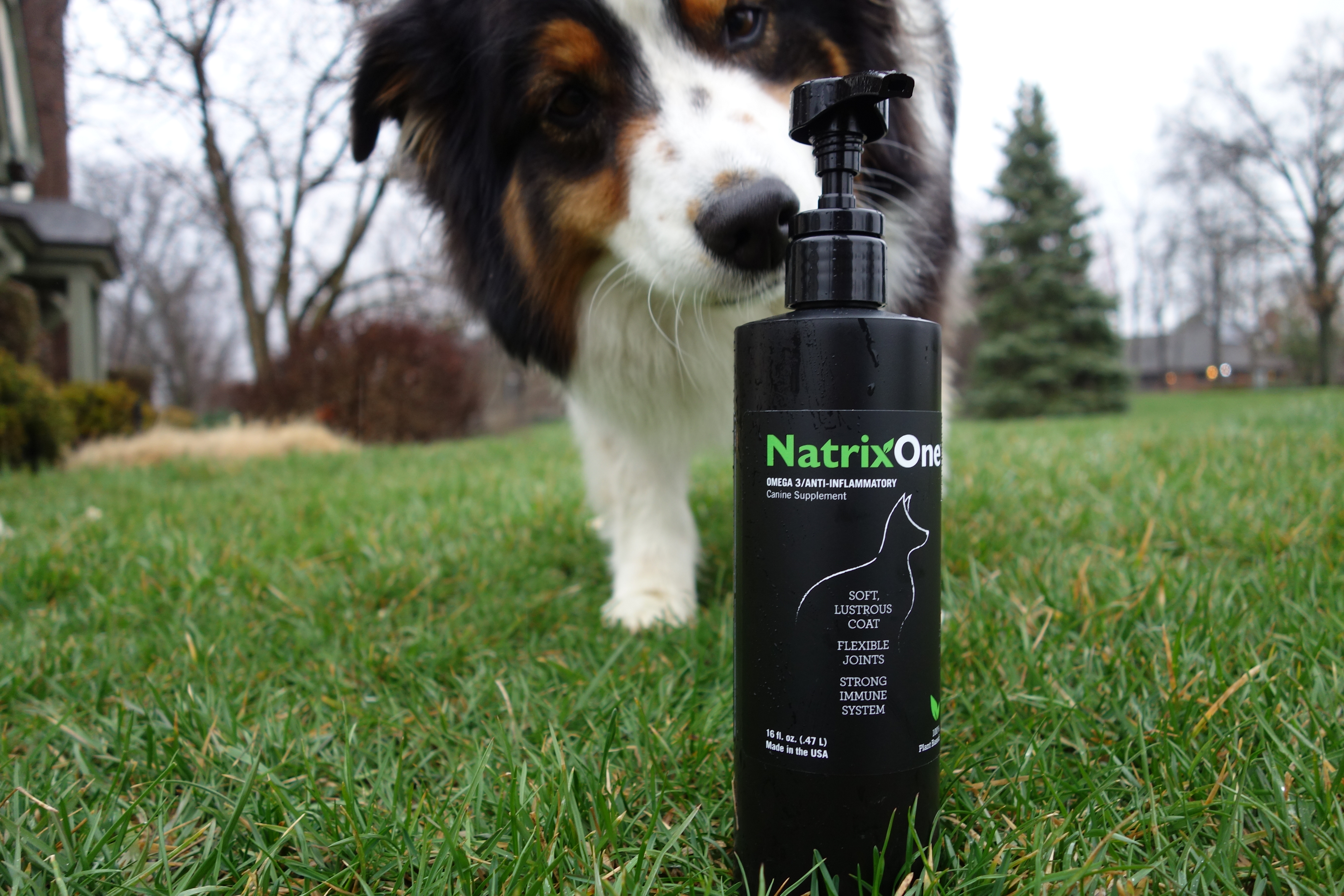 How Natrixone Works Natrixone